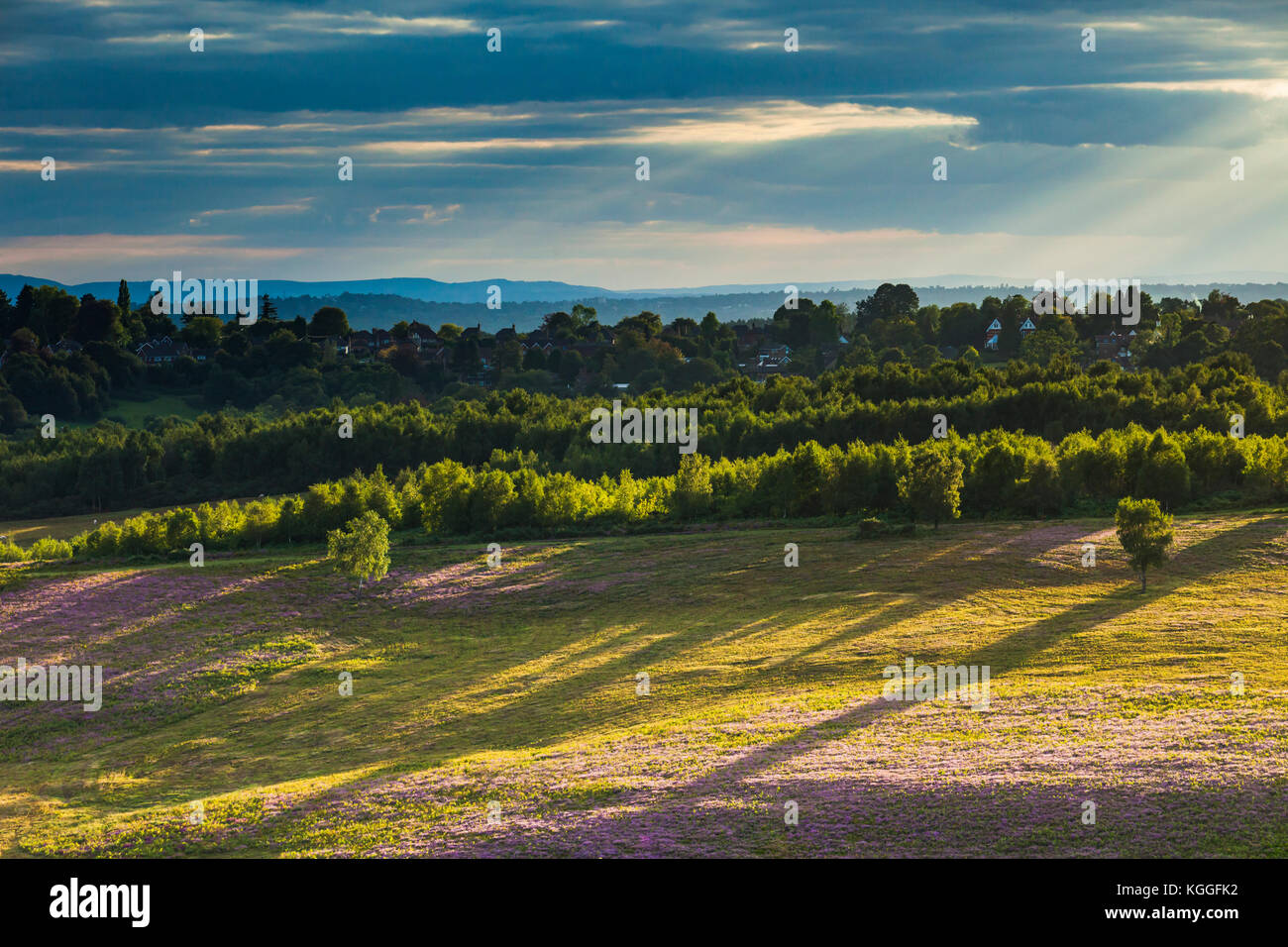 Ashdown forest hi-res stock photography and images - Alamy