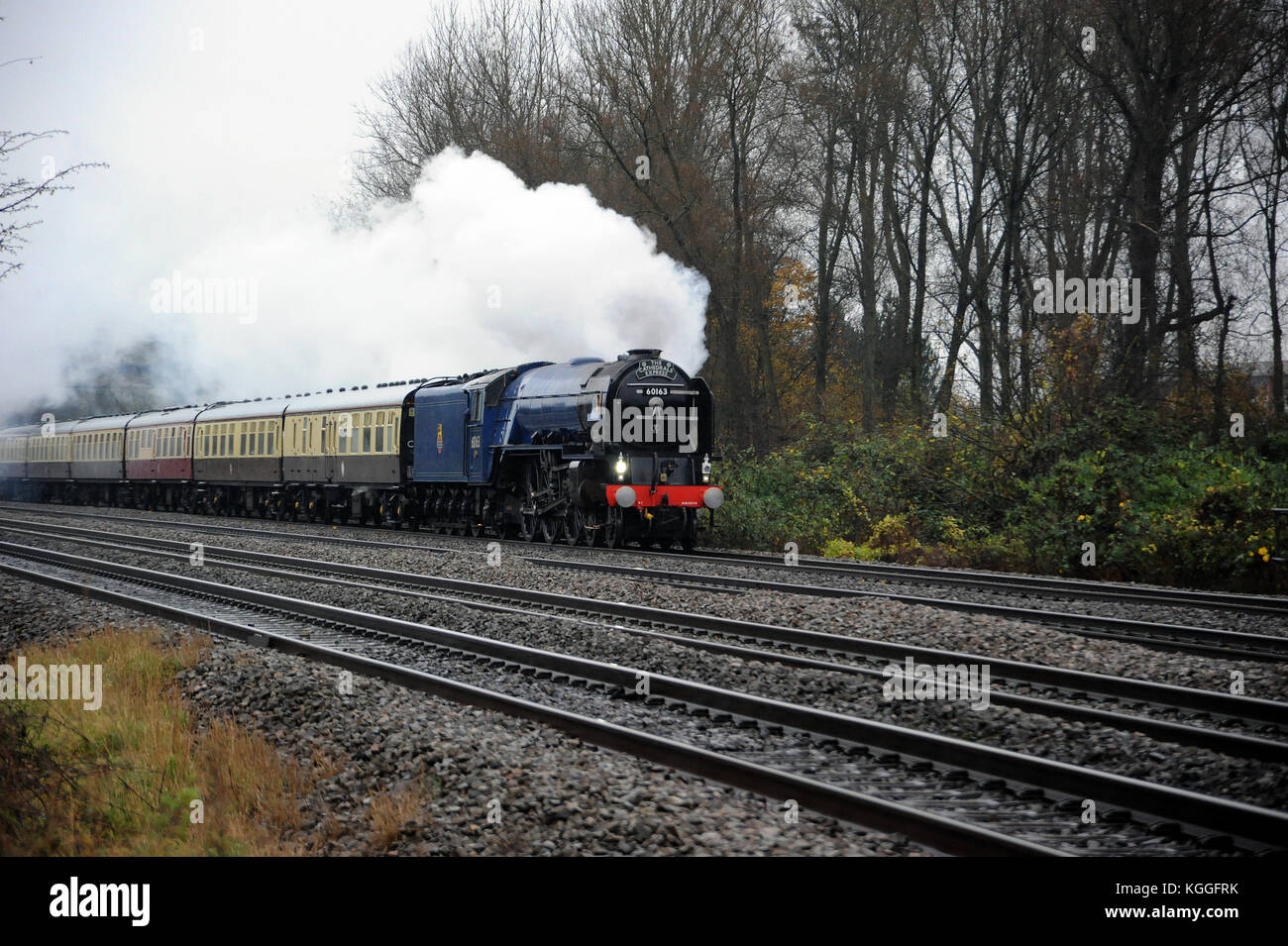 60163 "TORNADO" (on its first public train in B.R. blue) heads a ...