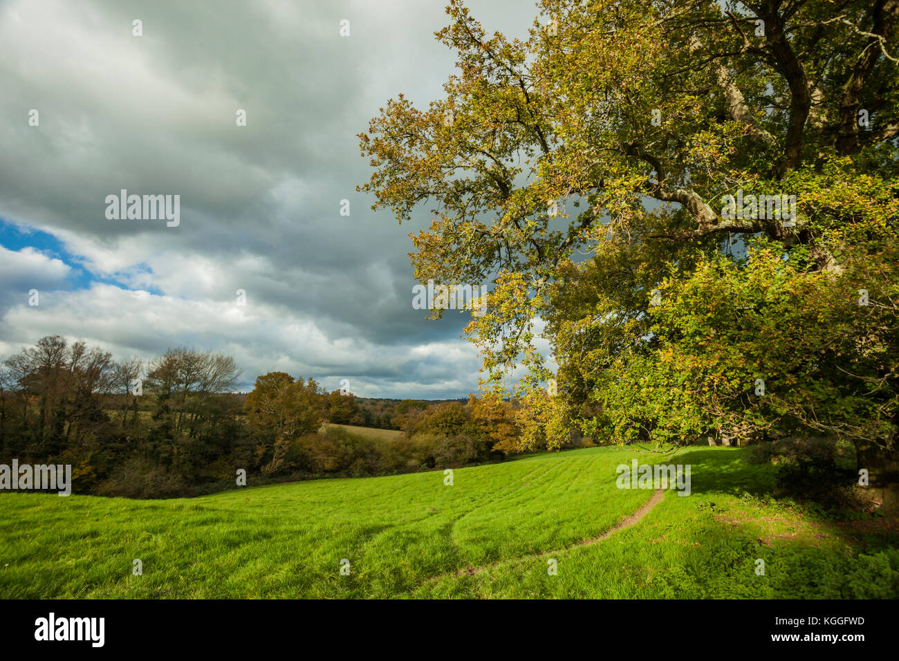 Weald high hi-res stock photography and images - Alamy