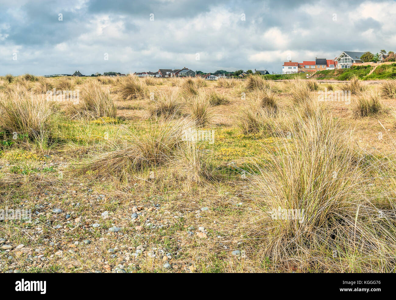 Low coastal area hi-res stock photography and images - Alamy