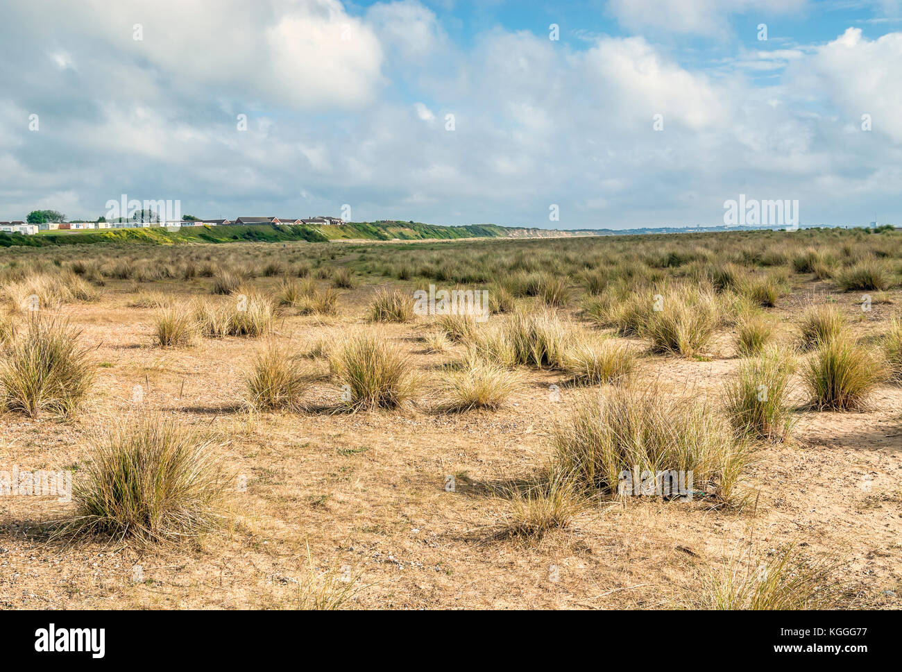 Coastal Marsh Landscape near the Village of Kessingland in East Anglia ...
