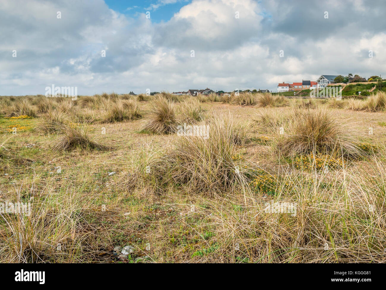 Coastal Marsh Landscape near the Village of Kessingland in East Anglia ...