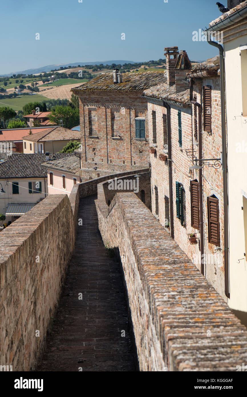 Corinaldo (Ancona, Marches, Italy): the historic town at morning. Walls ...