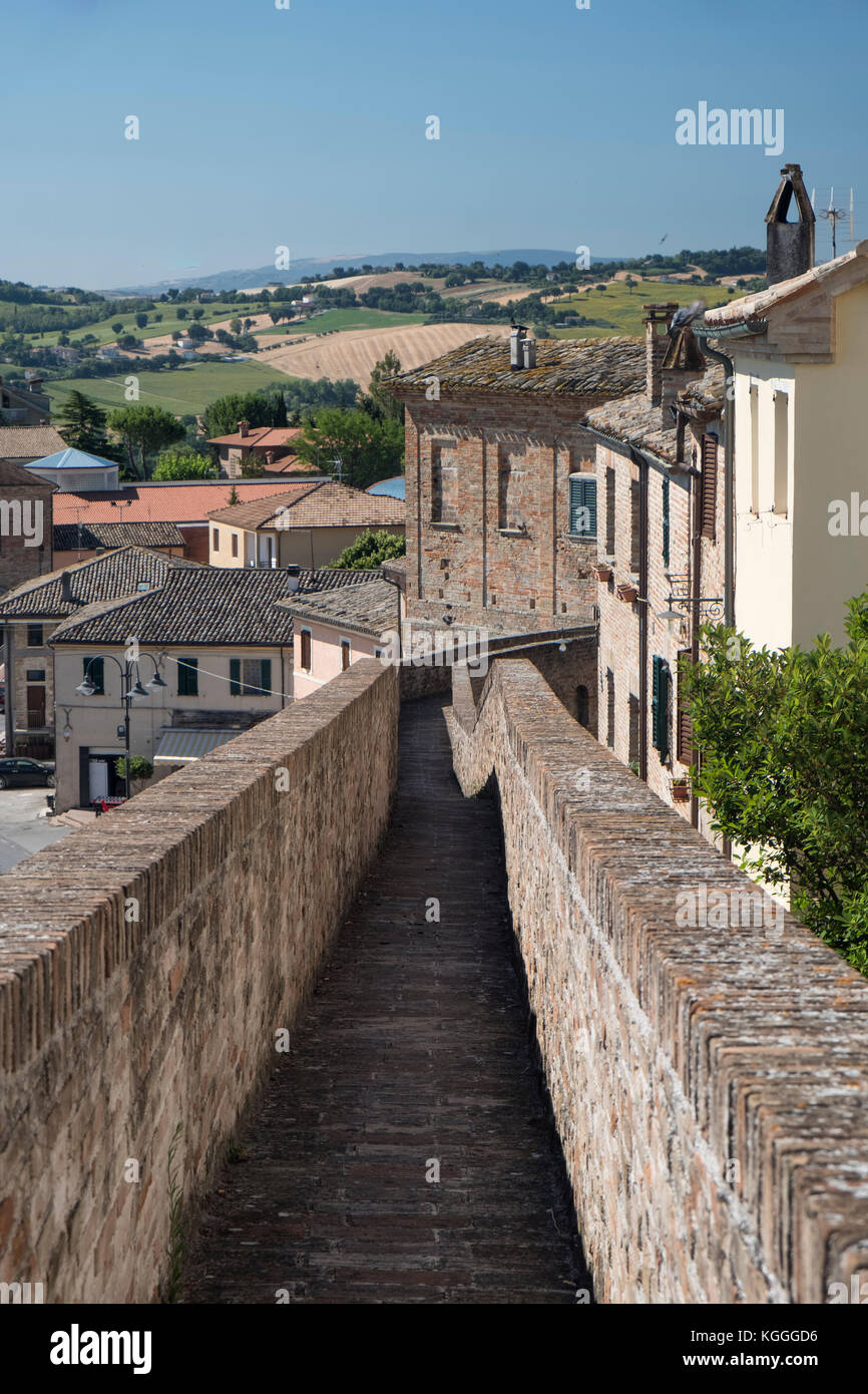 Corinaldo (Ancona, Marches, Italy): the historic town at morning. Walls ...