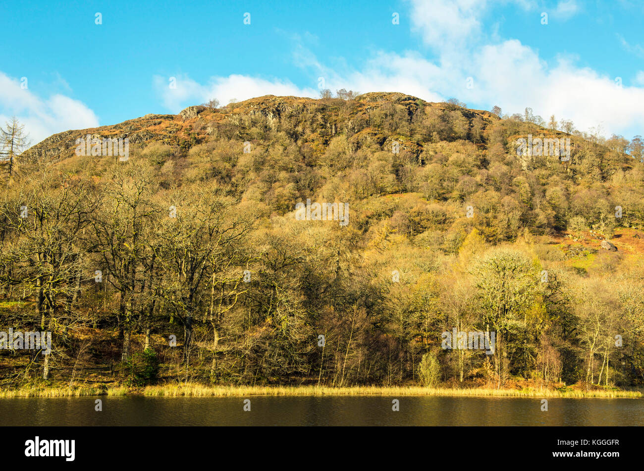 Holme Fell from Yew Tree Tarn Lake District Cumbria Stock Photo - Alamy