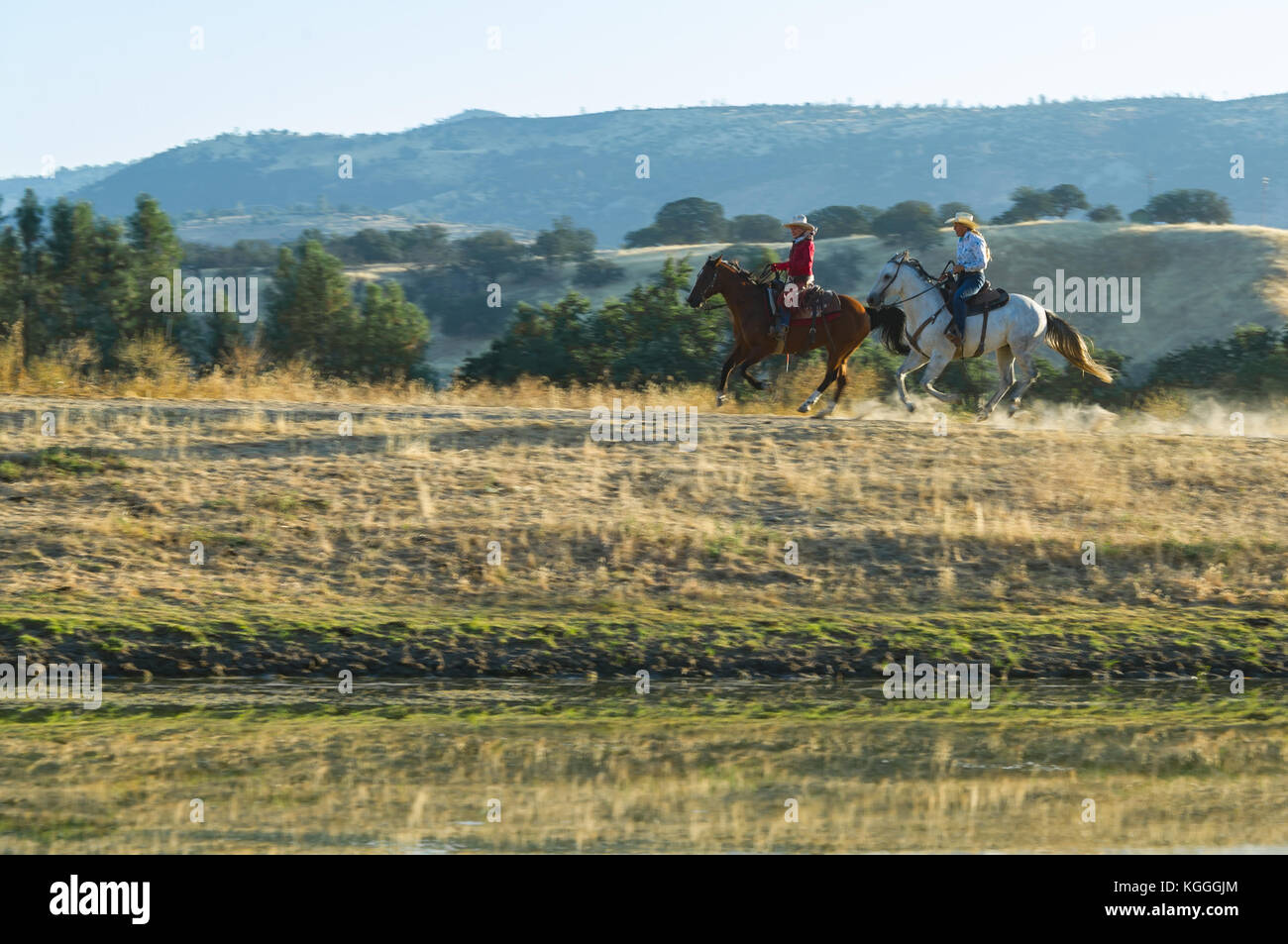 Ranch cowboy on horseback hi-res stock photography and images - Alamy