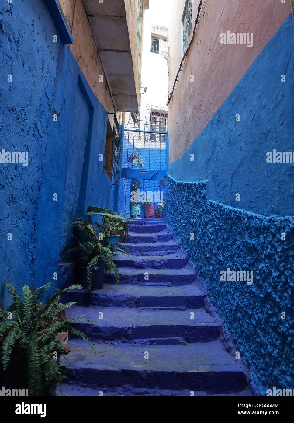 Blue stairway steps in Morocco Stock Photo - Alamy