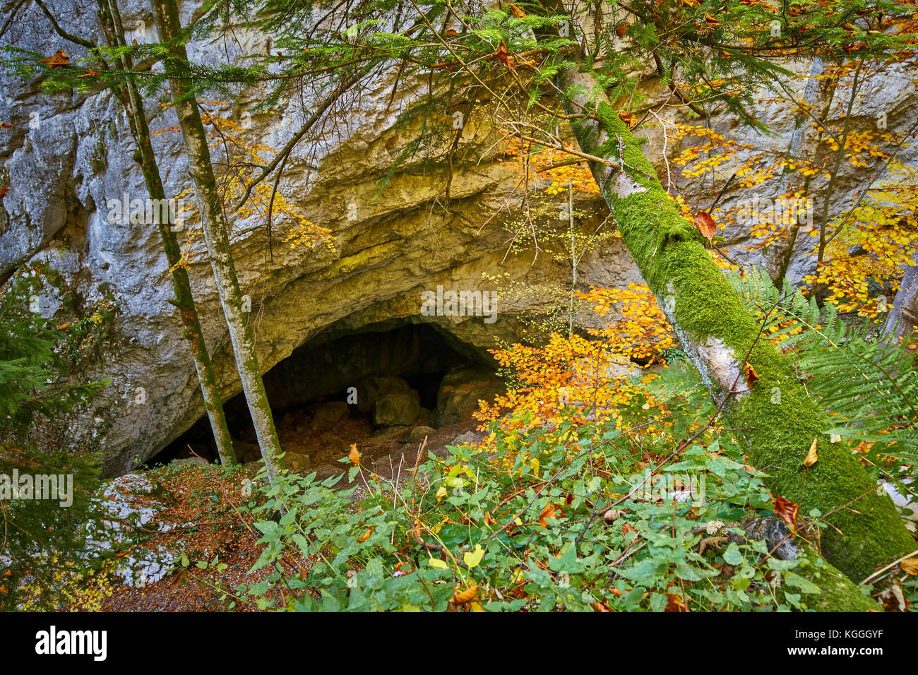 Secret cave entrance hi-res stock photography and images - Alamy