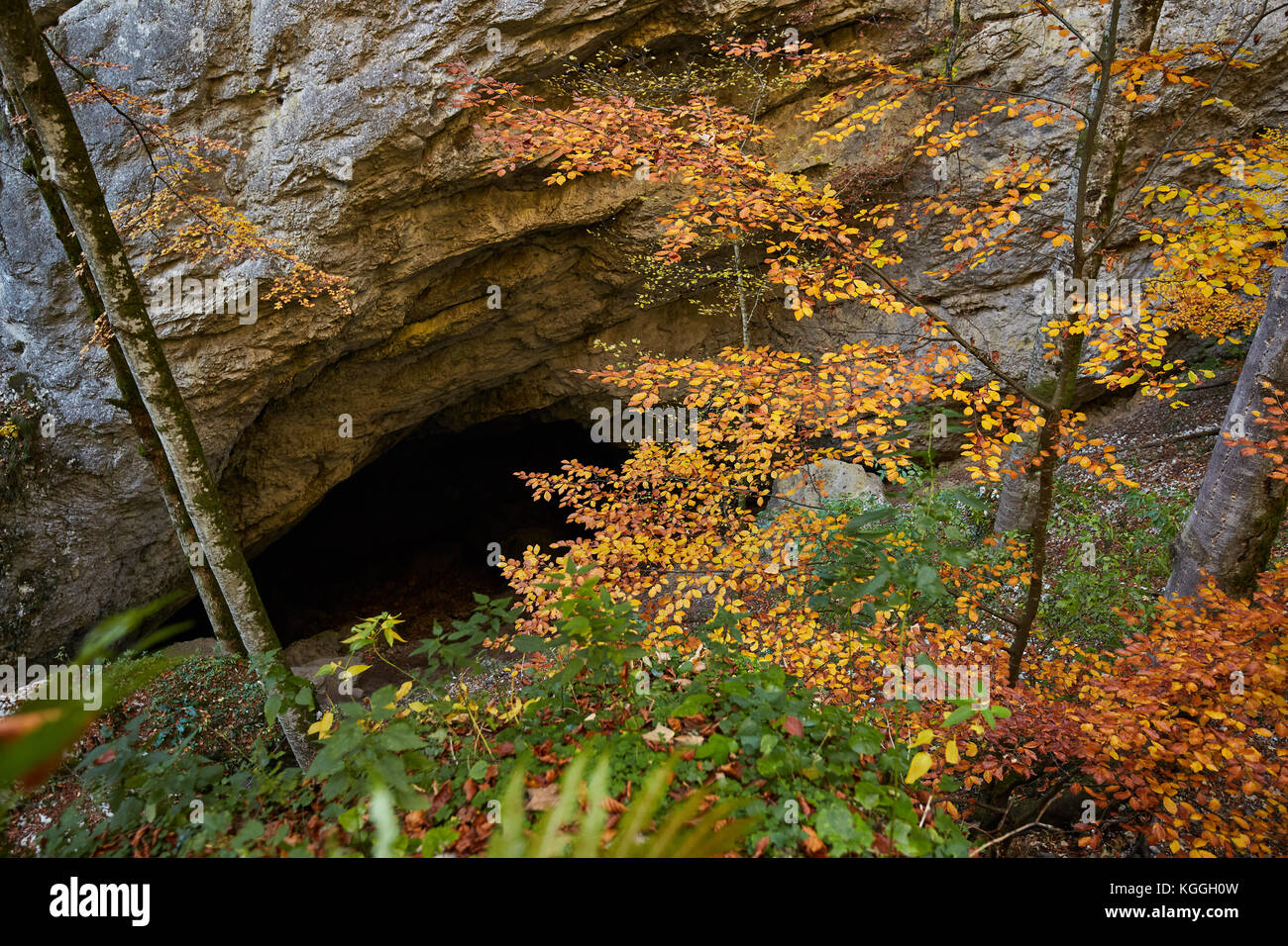 Entrance of a cave in the forest Stock Photo - Alamy