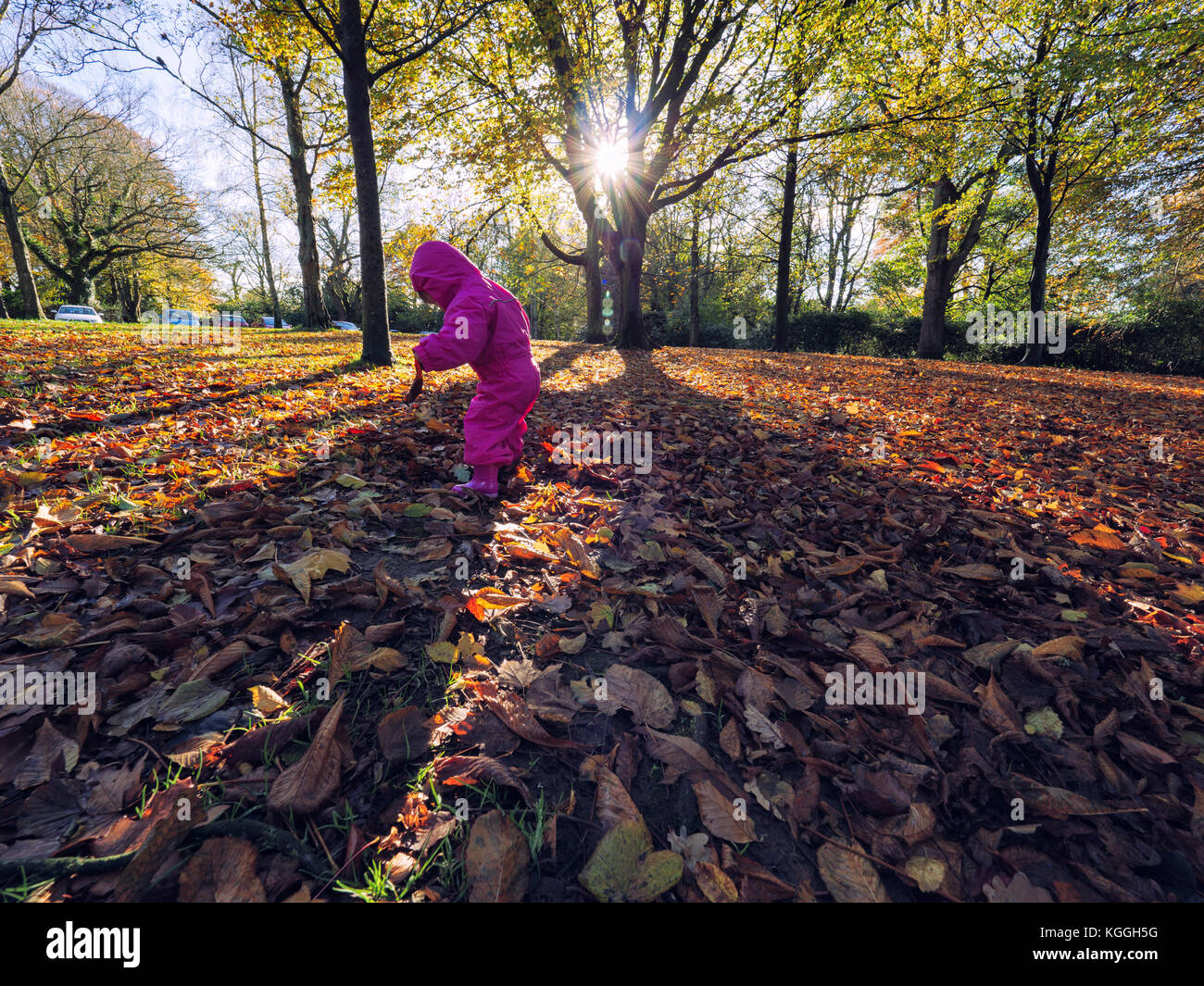 Baby girl playing at Autumn forest Stock Photo - Alamy