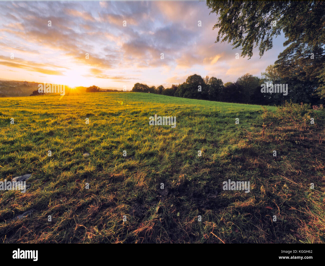 Early Autumn countryside morning,Northern Ireland Stock Photo - Alamy