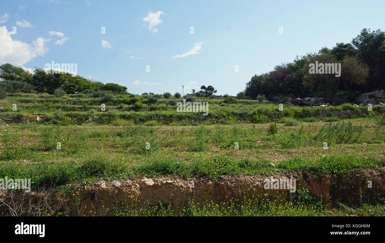 amazing natural town palmizana on hvar in croatia Stock Photo - Alamy