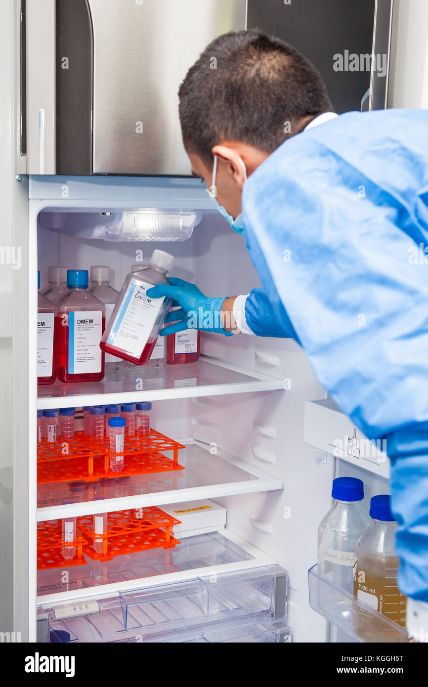 Young male scientist and laboratory refrigerator Stock Photo - Alamy
