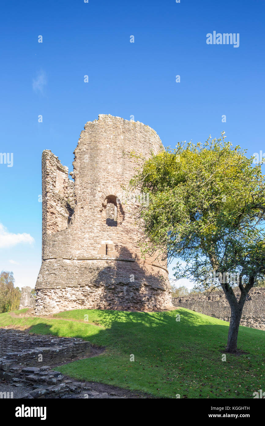 Skenfrith Castle, Monmouthshire, Wales, UK Stock Photo - Alamy