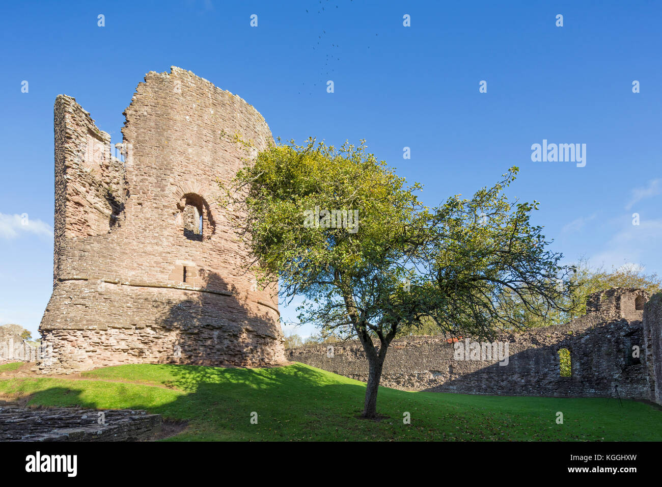 Skenfrith castle hi-res stock photography and images - Alamy
