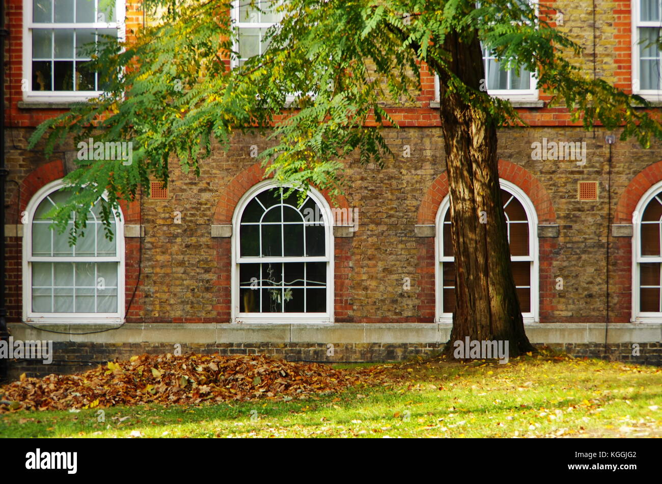 Autumn in London, brick wall and fallen leaves Stock Photo - Alamy