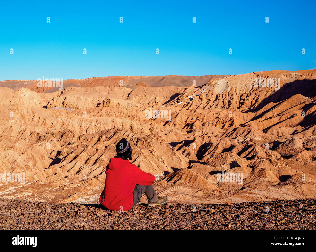 Man looking at the Mars Valley or Death Valley, San Pedro de Atacama ...