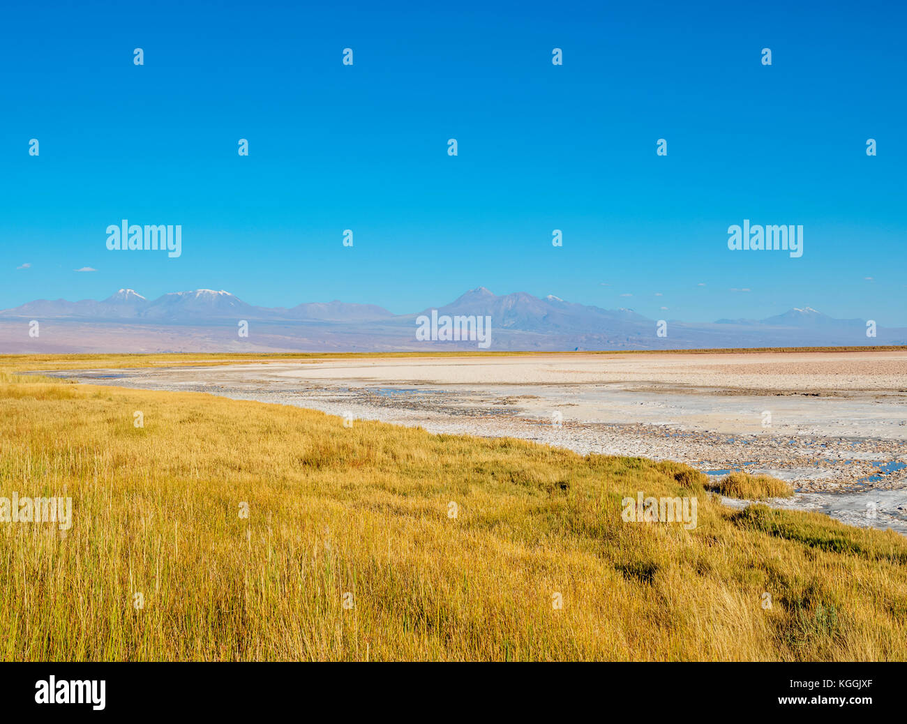 Laguna Cejar, Salar de Atacama, Atacama Desert, Antofagasta Region ...