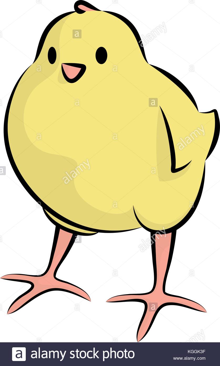 Cartoon Illustration Baby Chick Hatching Stock Photos & Cartoon ...