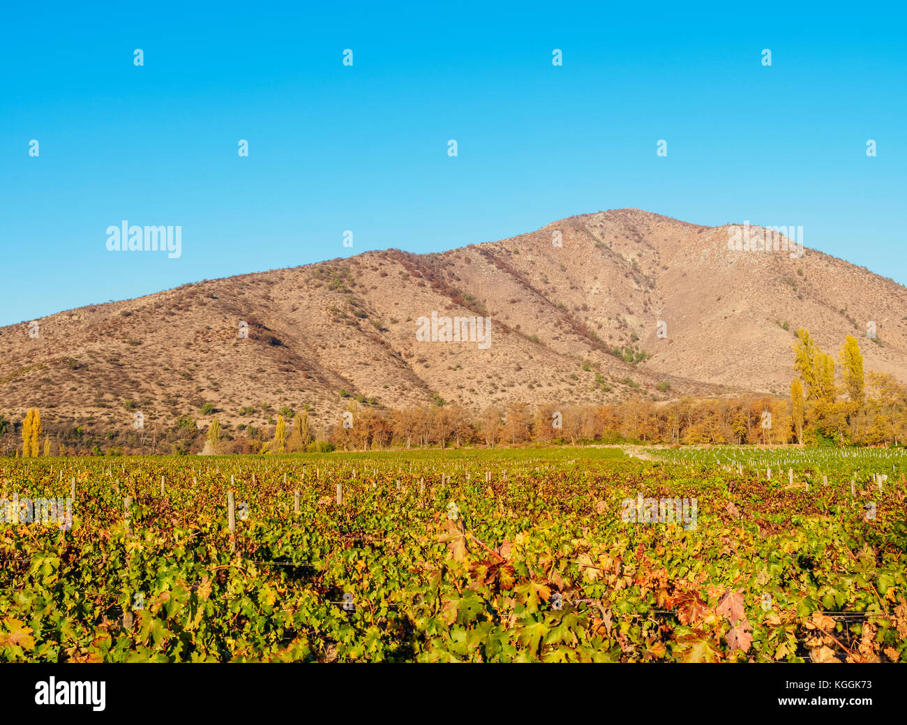 Buin santiago hi-res stock photography and images - Alamy
