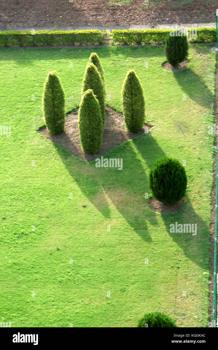 Artistically trimmed bushes stand attractively in garden Stock Photo ...