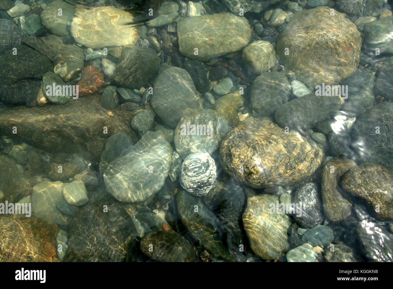Rounded stone pebbles of various sizes and grain patterns submerged ...