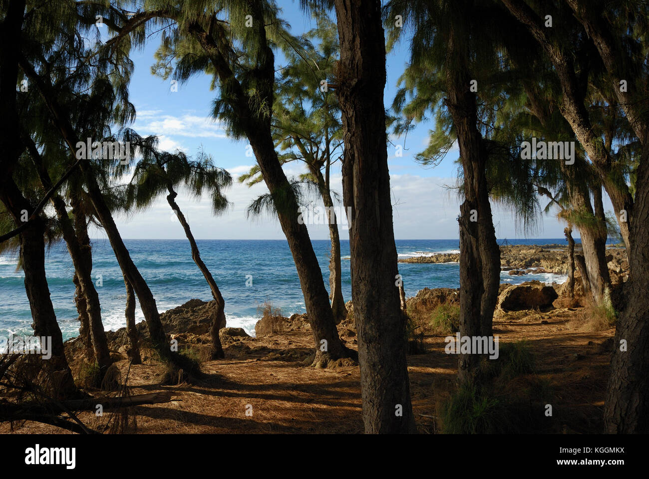 North Shore, Oahu, Hawaii Stock Photo - Alamy