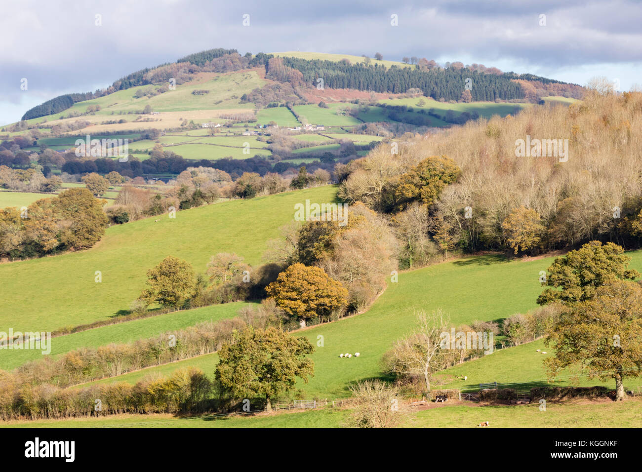 Monmouthshire countryside hi-res stock photography and images - Alamy