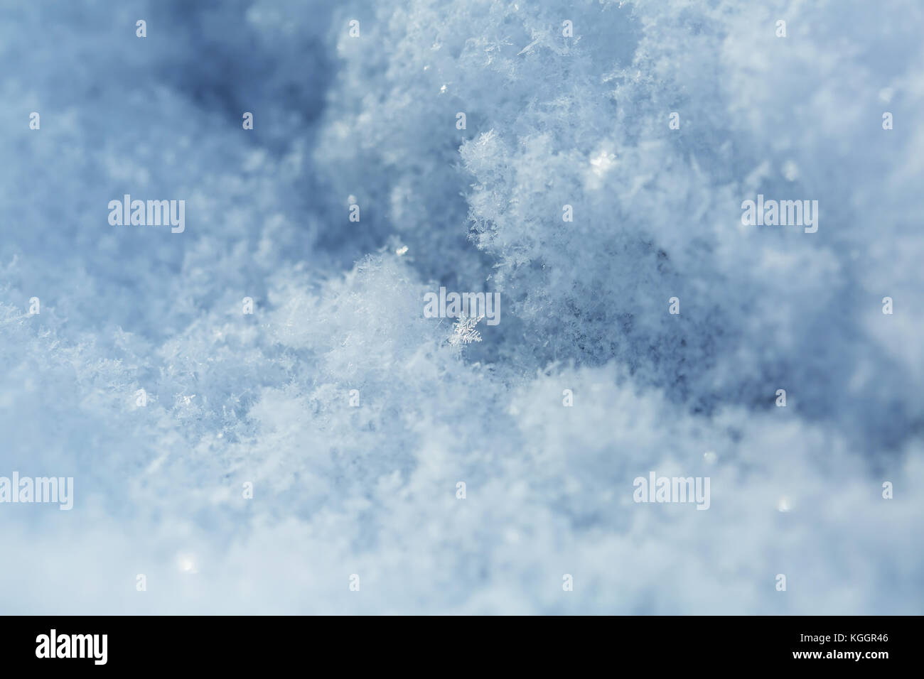 Fresh white snow, macro shot Stock Photo - Alamy