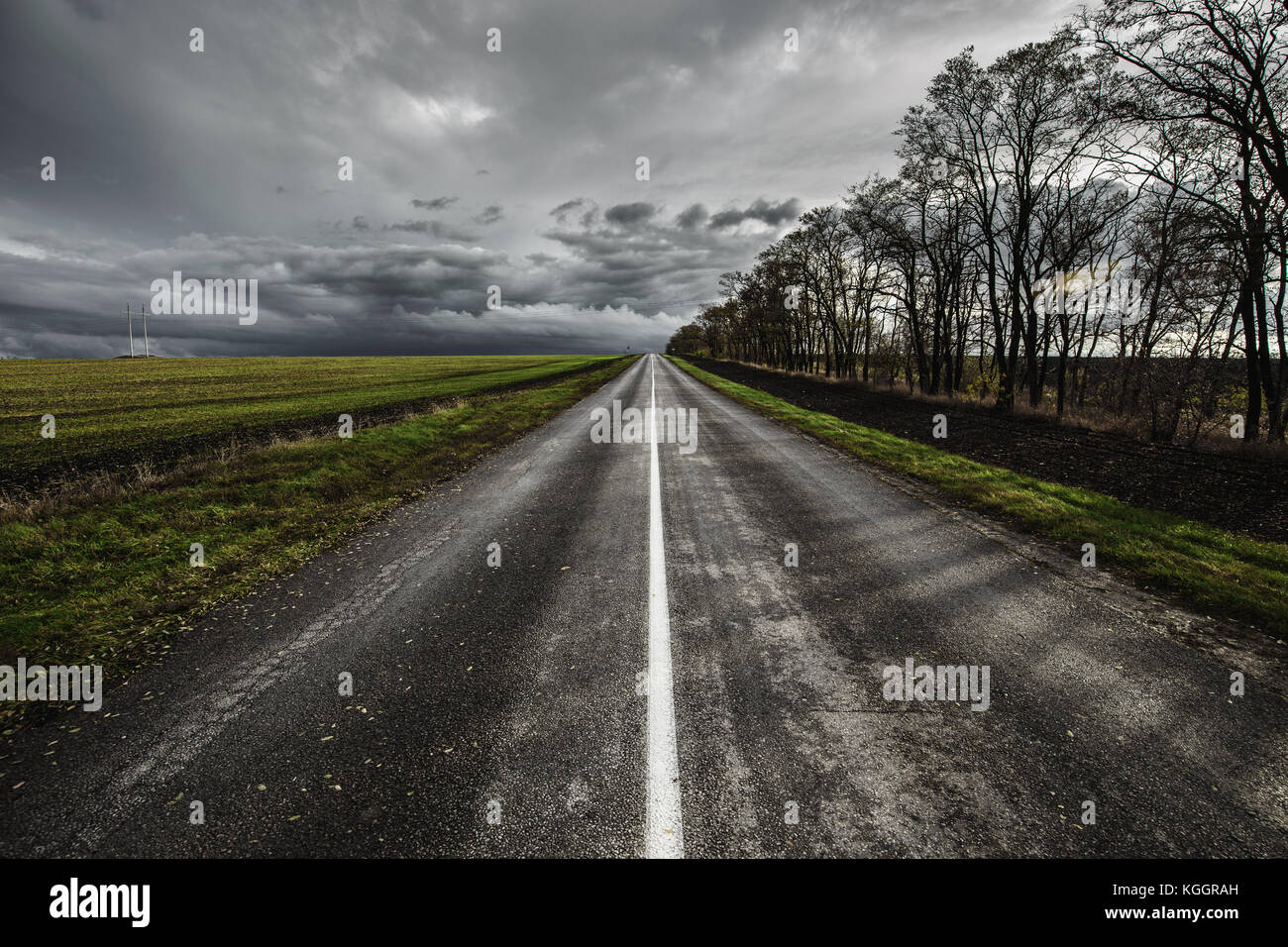 Asphalt road through green hi-res stock photography and images - Alamy