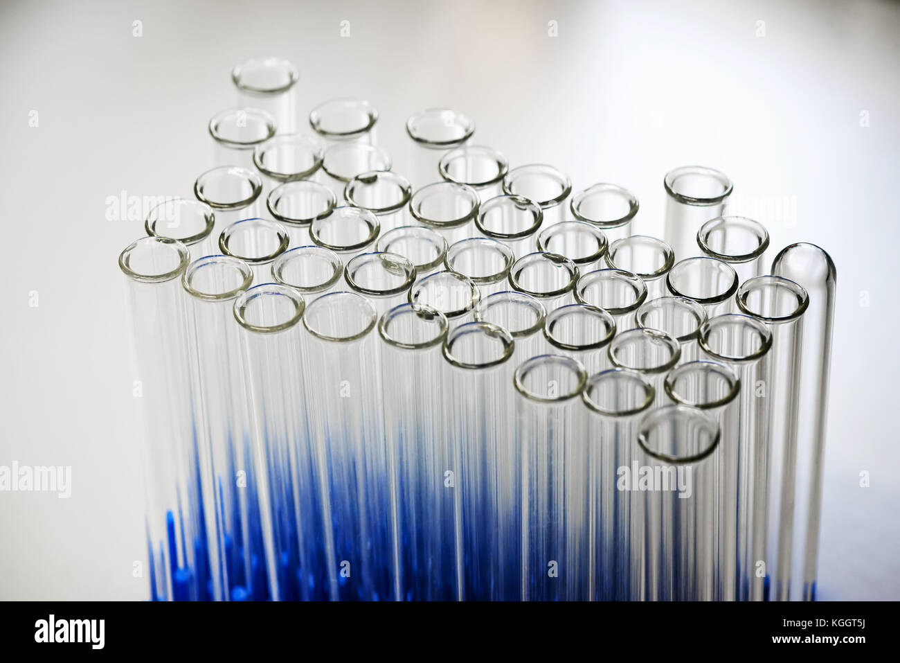 Test tubes in the blue rack Stock Photo - Alamy