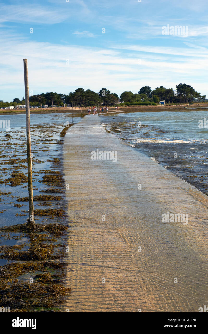 Ile Tascon (Tascon Island) a tidal island in the Golfe du Morbihan near ...