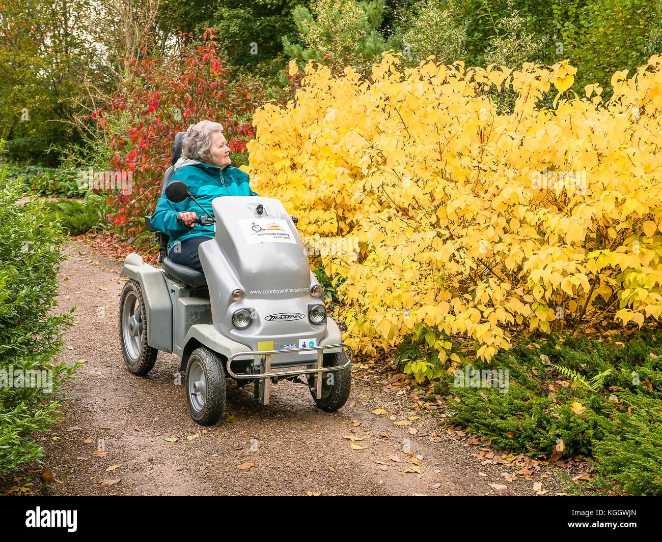 Mobility scooter disabled hi-res stock photography and images - Alamy