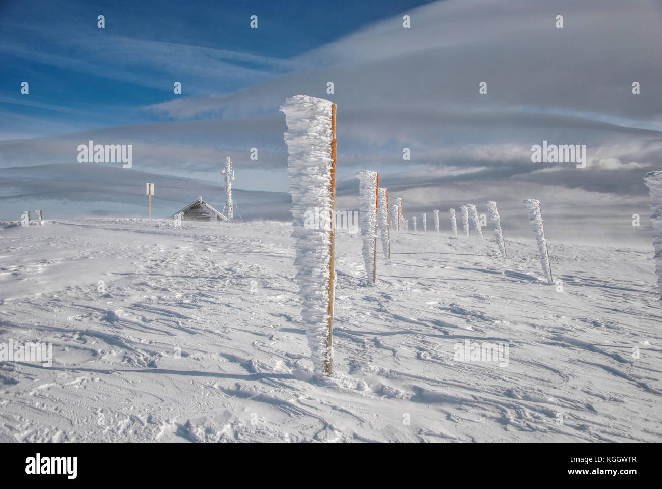 Frozen iron pillars, completely covered by snow and icicles and ...