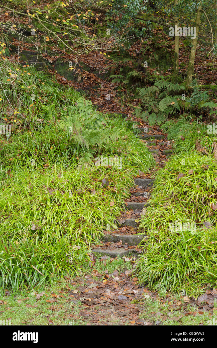 Footpath from Gibson Mill, Hardcastle Crags, Heptonstall, West ...