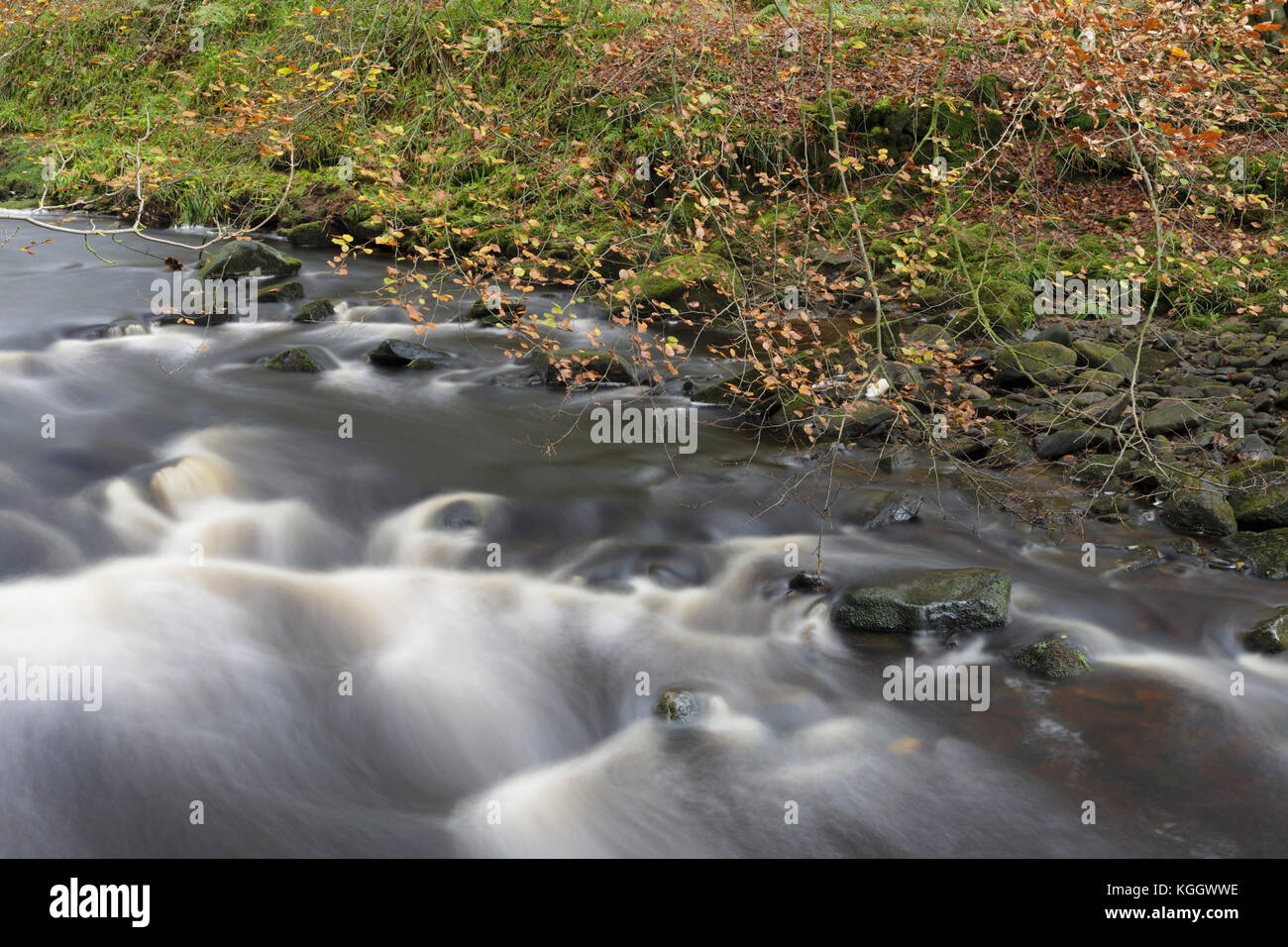 View of Hebden Water and Autumn colours, Hardcastle Crags, Hebden Dale ...
