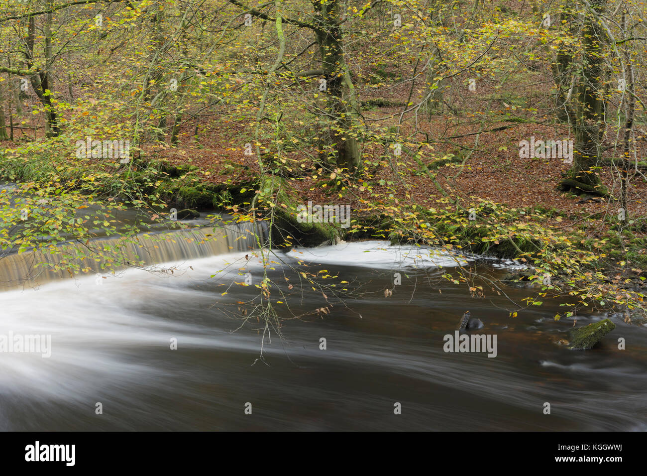 View of Hebden Water and Autumn colours, Hardcastle Crags, Hebden Dale ...