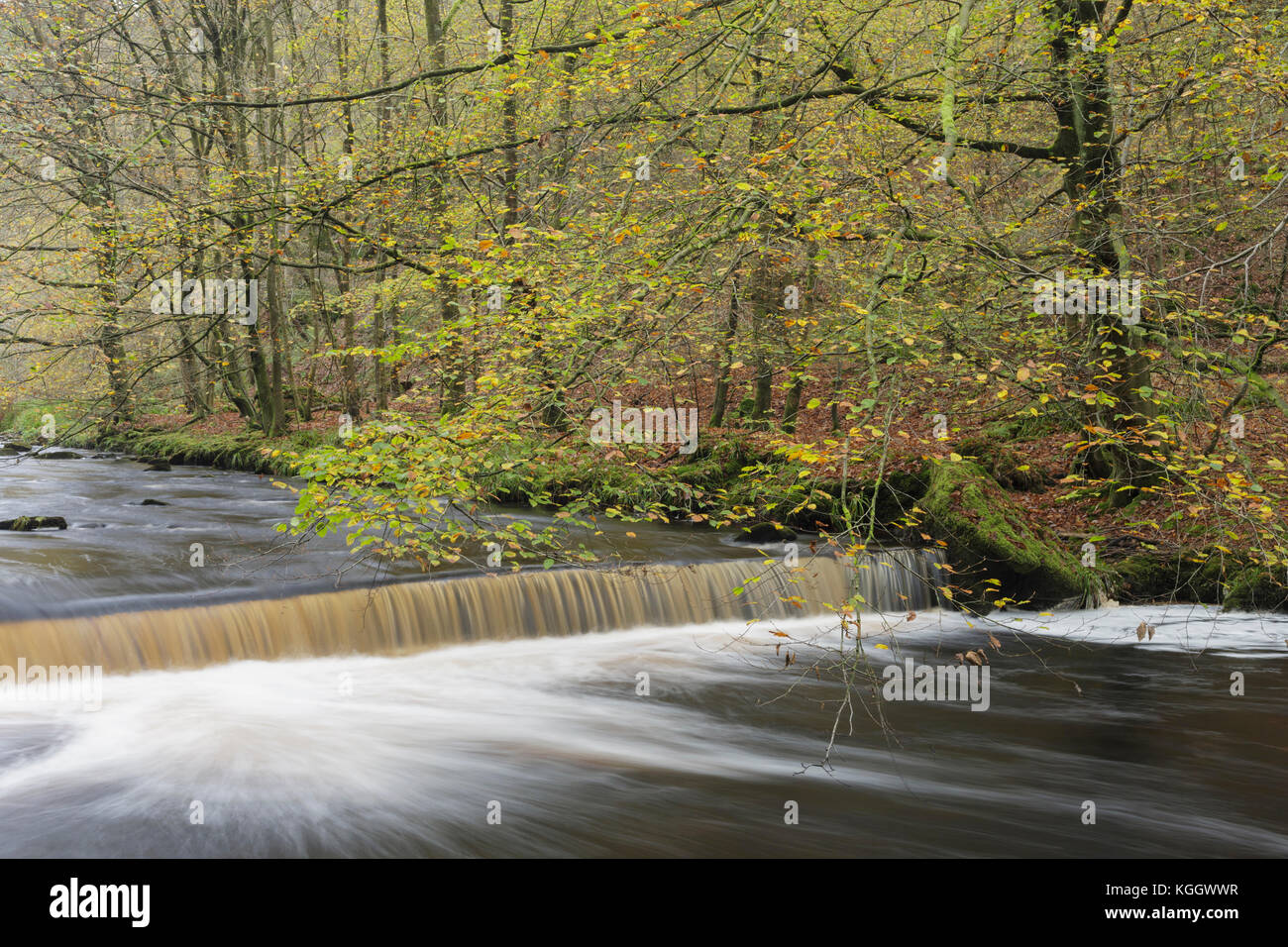 View of Hebden Water and Autumn colours, Hardcastle Crags, Hebden Dale ...