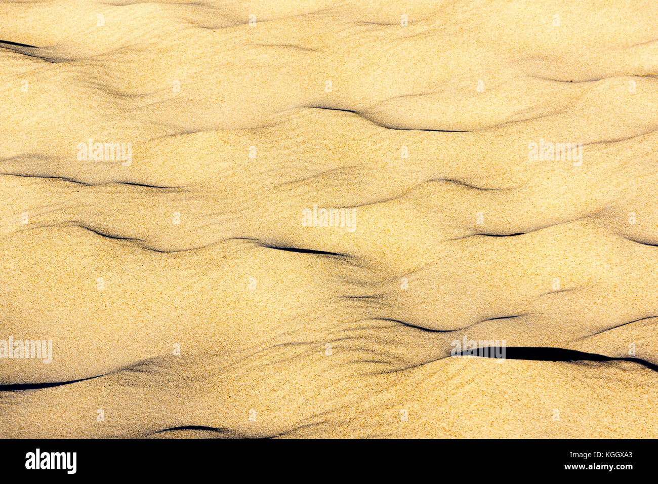 Wavy dunes hi-res stock photography and images - Alamy