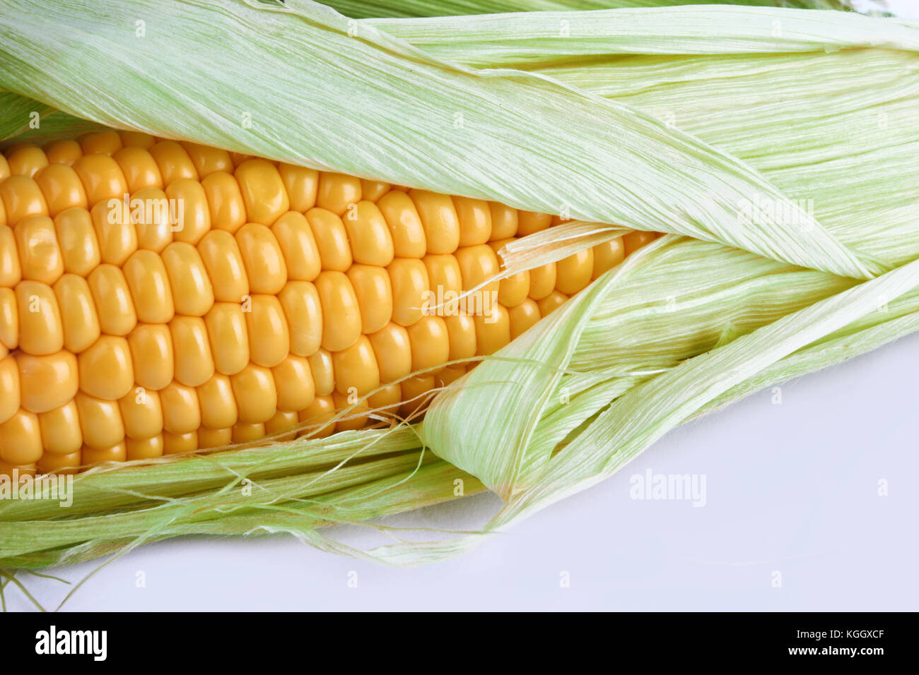 Fresh organic corn in on white background Stock Photo - Alamy