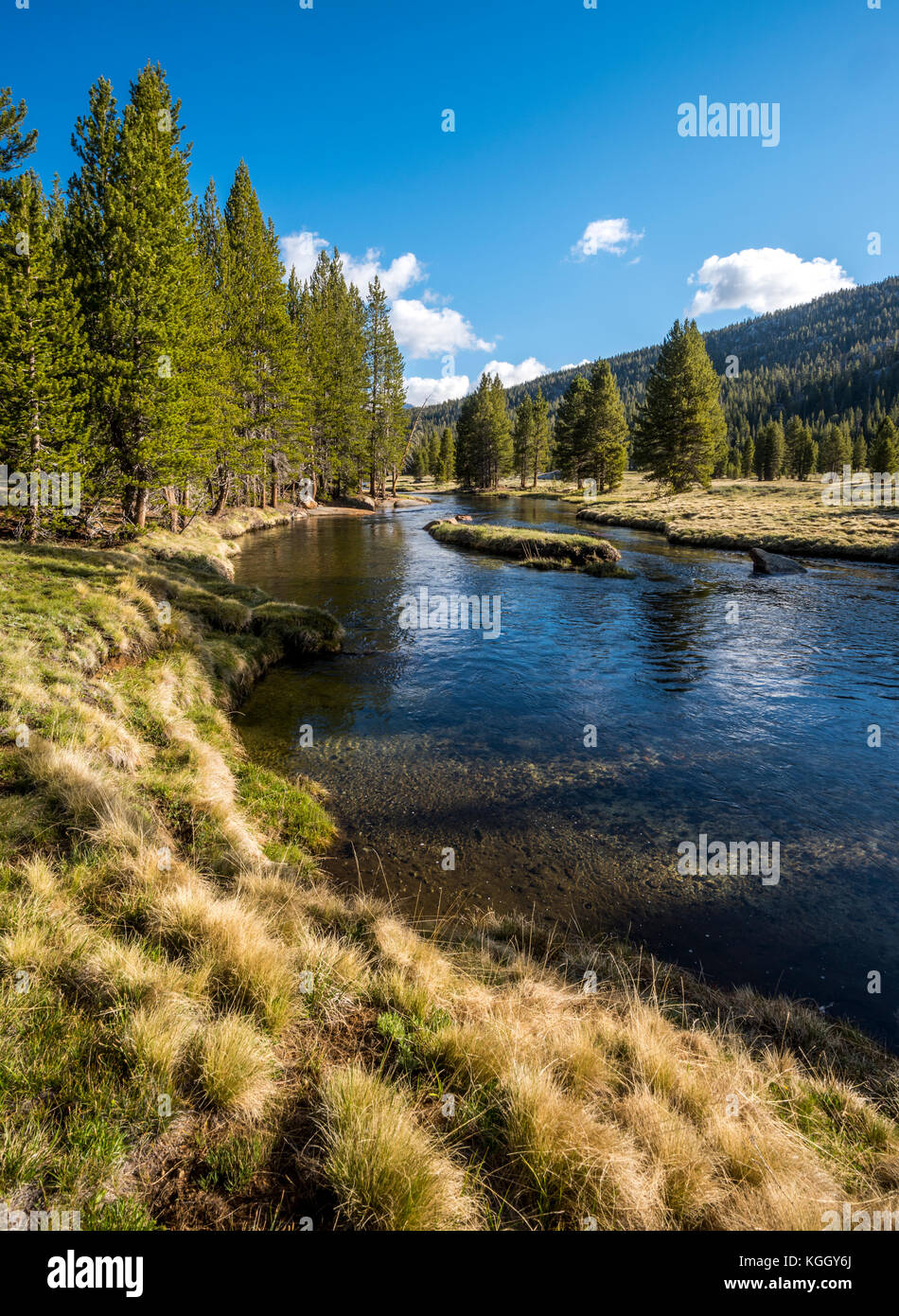 The Tuolumne River flows through the Tioga region of Yosemite National ...