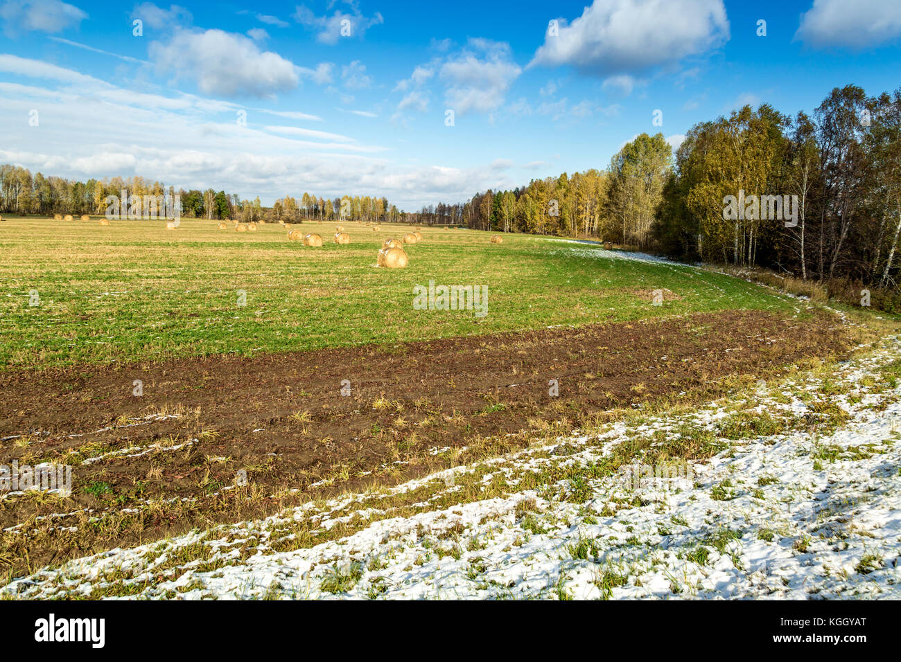 Hay stacks on the field, powdered with the first October snow Stock ...