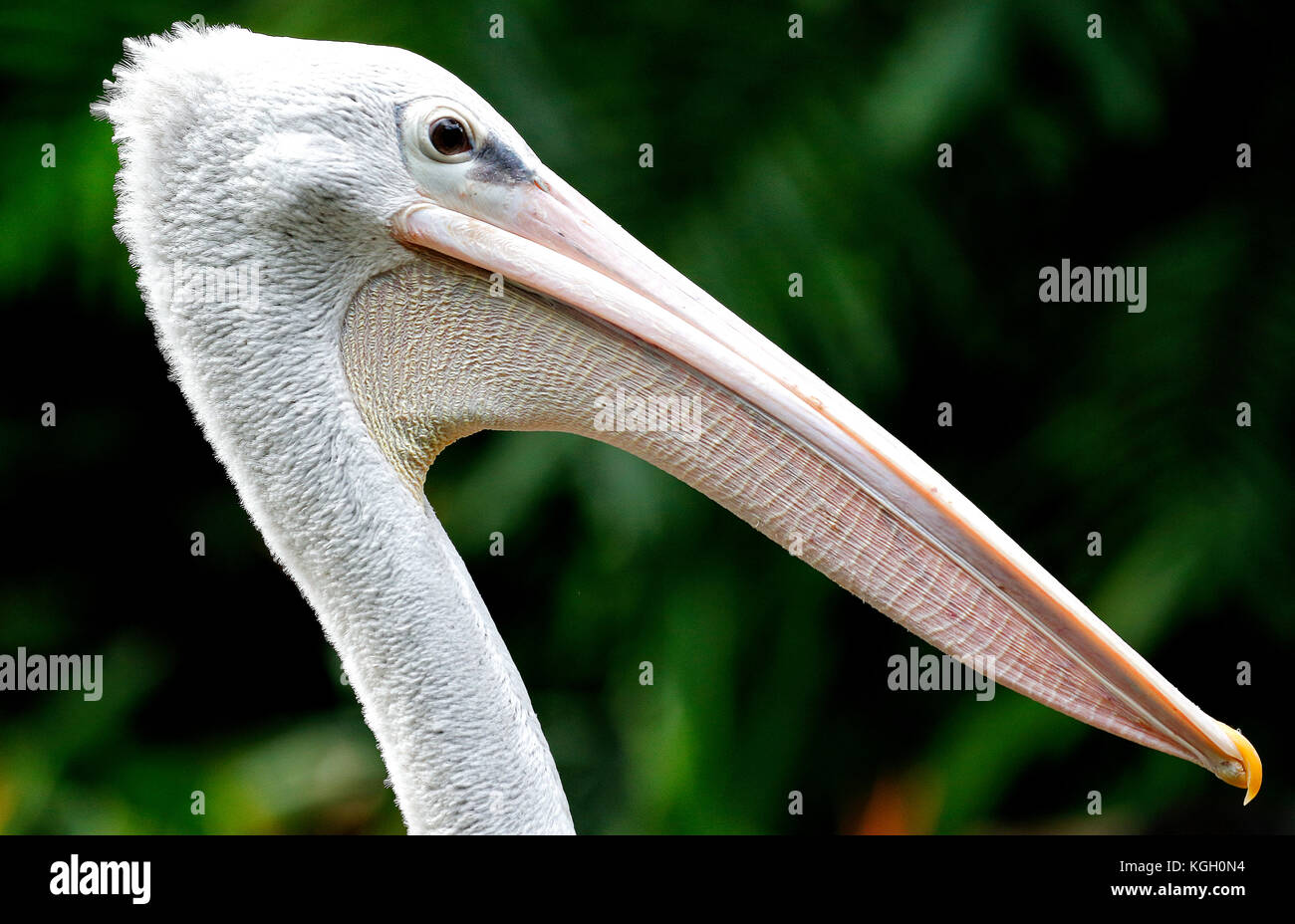 Panted hi-res stock photography and images - Alamy