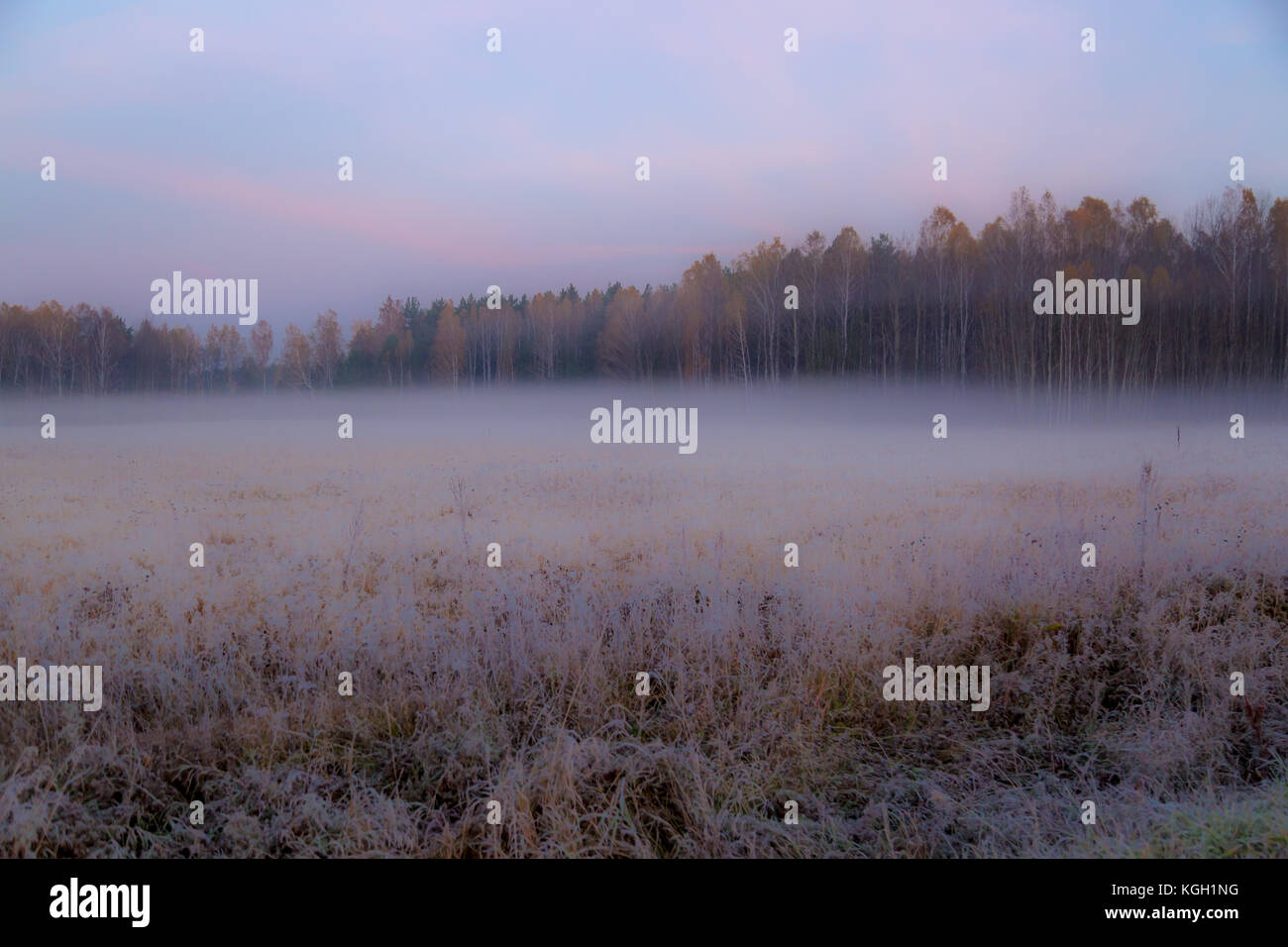 October predawn fog Stock Photo - Alamy