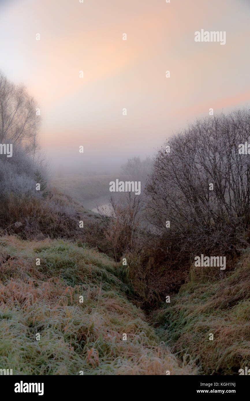October predawn fog Stock Photo - Alamy