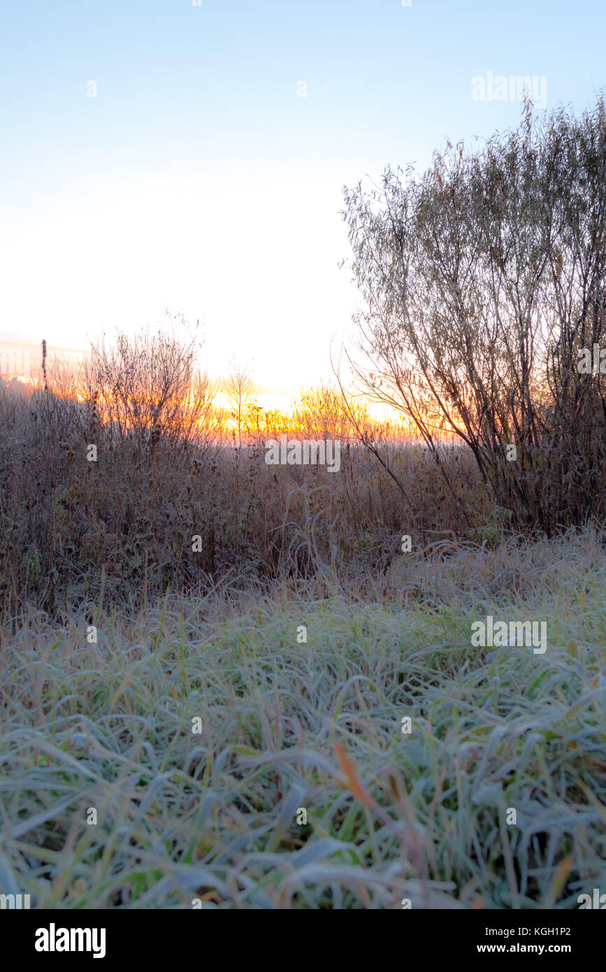 October predawn fog Stock Photo - Alamy