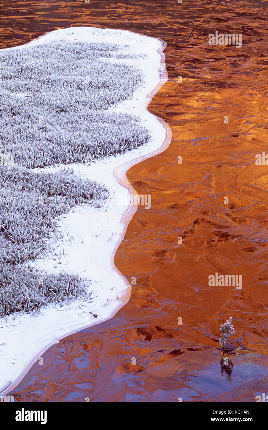 Frozen surface of Flynns Tarn after heavy frost. Like many bodies of ...
