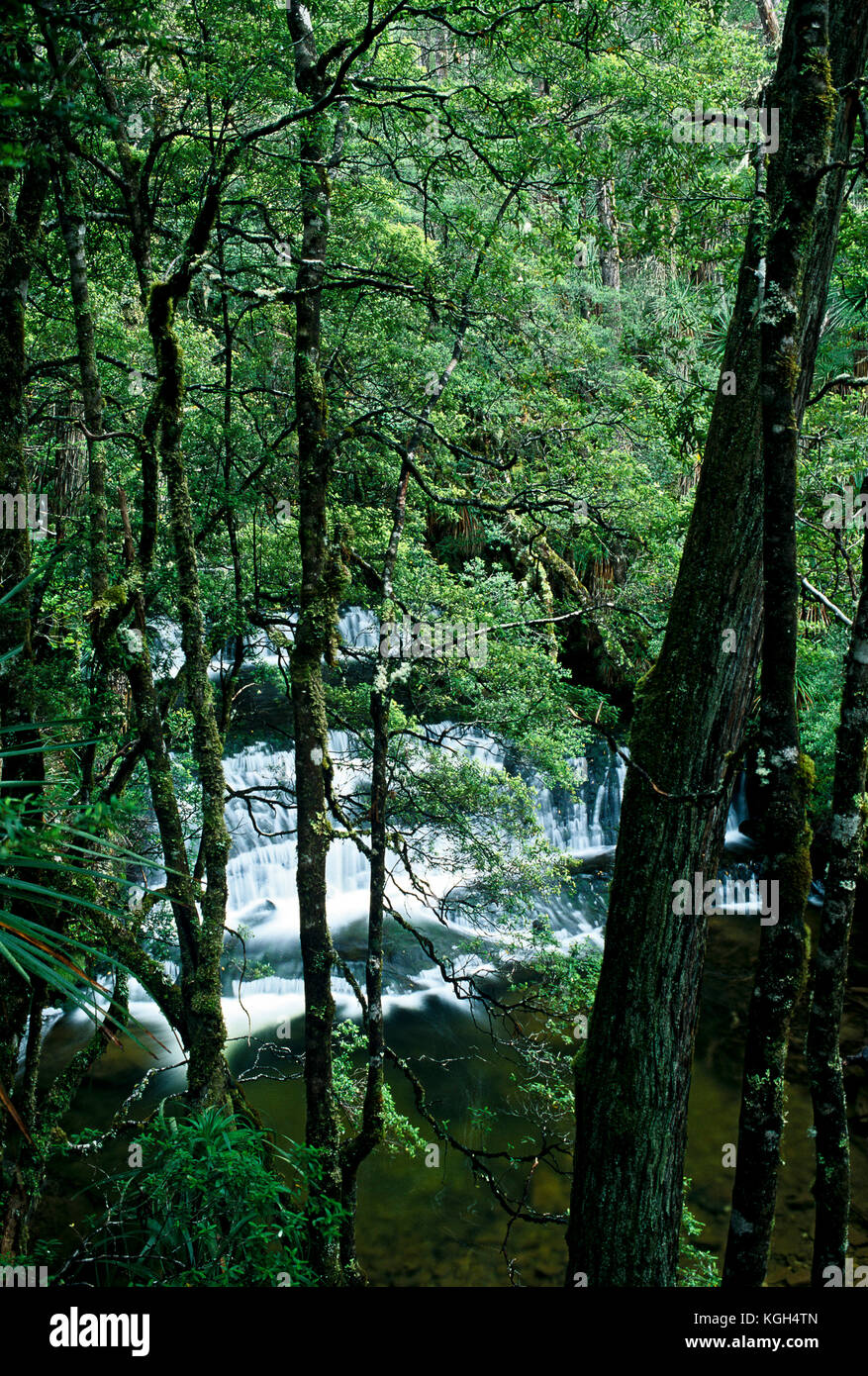 Cephissus Creek Falls, in Upper Pine Valley, Du Cane Range. Cradle ...