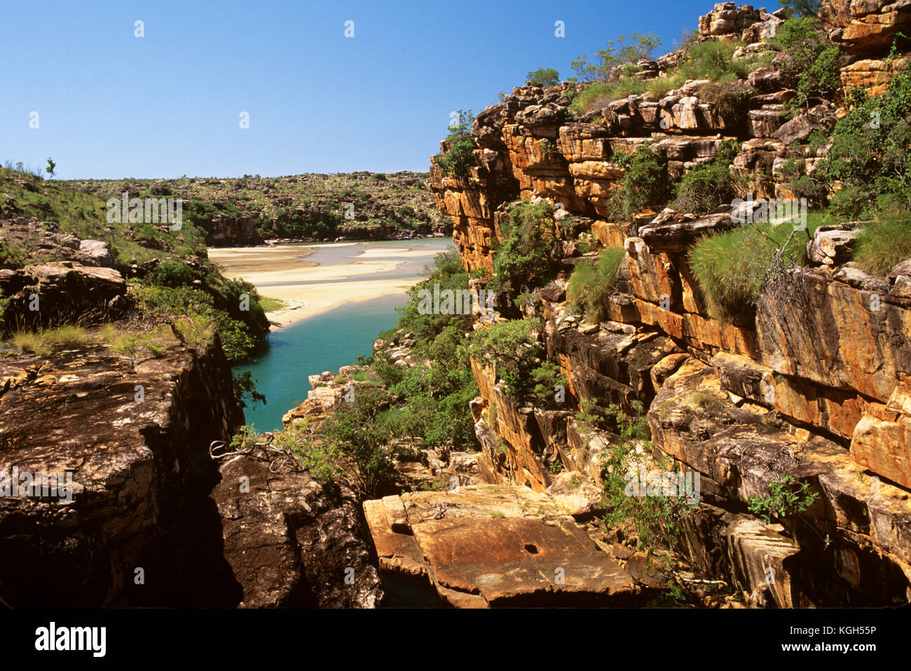 Sandstone escarpment and coast where mangroves border the tidal zone ...