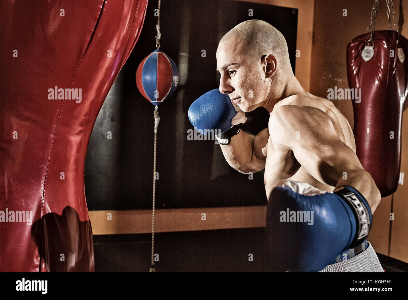 portrait of male boxer standing in the ring Stock Photo - Alamy